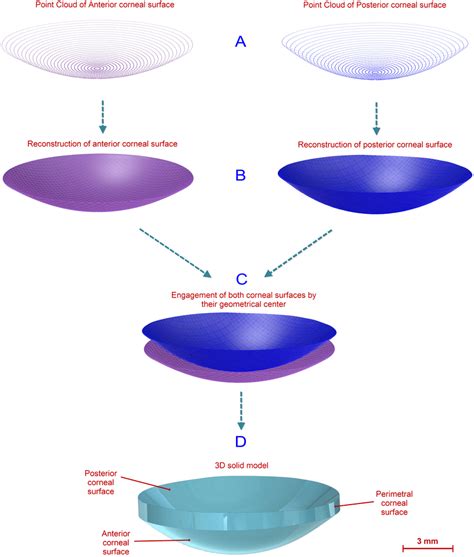 Scheme Of The 3d Geometric Reconstruction Procedure Of The Cornea Download Scientific Diagram