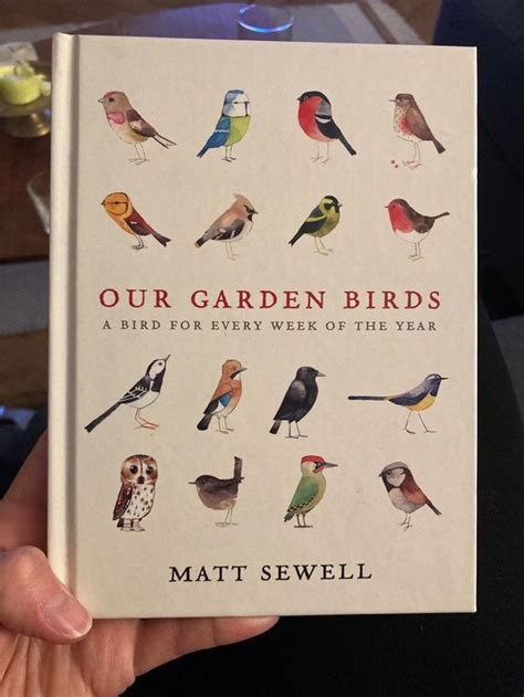 Buch Our Garden Birds Matt Sewell Kaufen Auf Ricardo