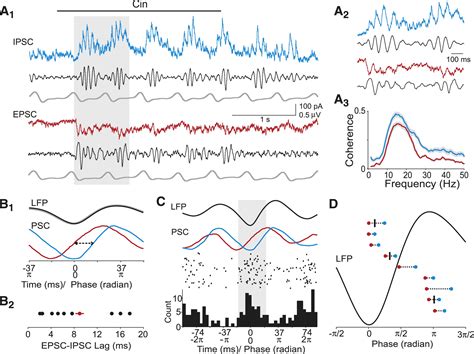 Odor Representations In Olfactory Cortex “sparse” Coding Global Inhibition And Oscillations
