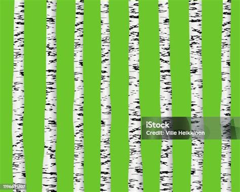 자작 나무 장식 트렁크 아이콘 실루엣 모양 세트 나무 껍질 색상 숲 예술 직물 기호 팩 벡터 일러스트 배경 이미지입니다 가을 가을과 여름 그래픽 색상 벽지 컬렉션입니다 0