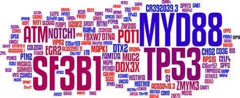 Recurrent Mutations In Cll The Size Of Each Gene Symbol Is