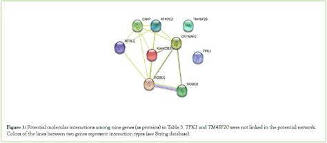 Language Gene Polymorphism Patterns Important Information On Hum