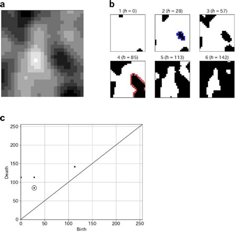 A A Gray Scale Image B Filtration Of Binary Images H Threshold Download Scientific