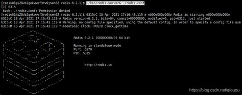 linux 安装 redis 6 2 1 redis 6 2 1 tar gz下载 csdn博客