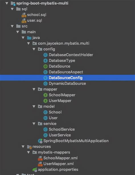 一定要了解！spring Mybatis在多数据源配置上的坑default Auto Commitfalse Csdn博客