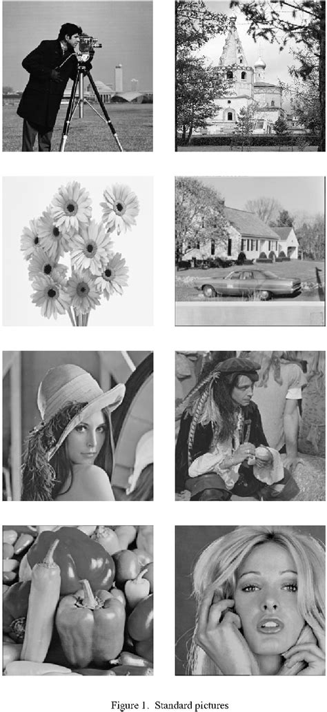 Figure 1 From An Image Quality Estimation Model Based On Hvs Semantic Scholar