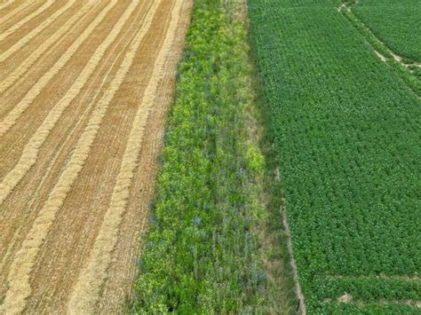 Ecosystem Interaction Of Living Organisms And Their Physical Environment