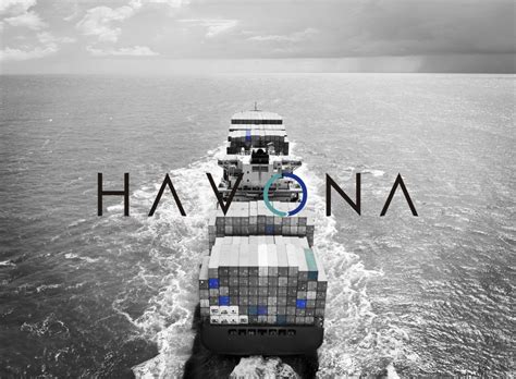 Digitalization In International Trade Unlocking Efficiency For Agricultural Commodities