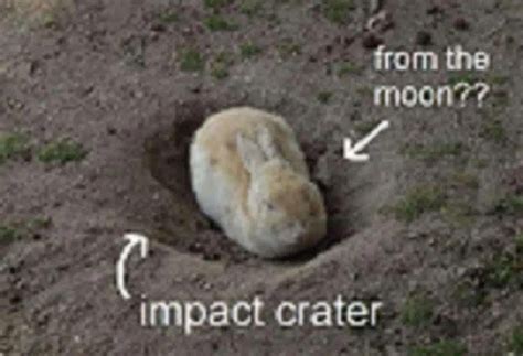 Usapyon👍 R Yokaiwatch