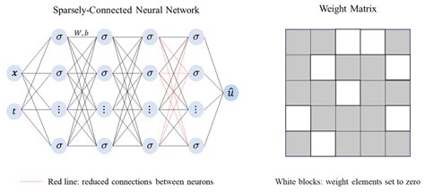 The Implementation Process Of The Sparsely Connection Neural Network Download Scientific Diagram