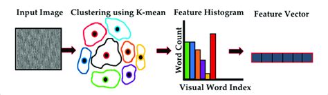 A Representation Of The Bag Of Visual Words Extraction Process Download Scientific Diagram