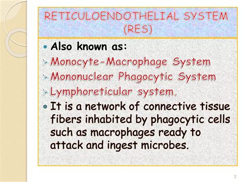Reticuloendothelial System Pdf