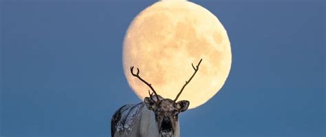 An Easy Way To Get The Real Client Ip In Php Dev Community