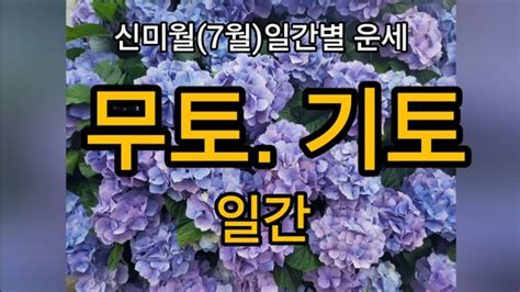 신미월 7월 일간별 월운 무토 기토 일간 Youtube