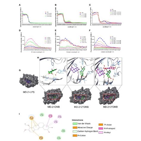 Spectroscopic Analysis Of The Interaction Between Dmb And Md 2 A