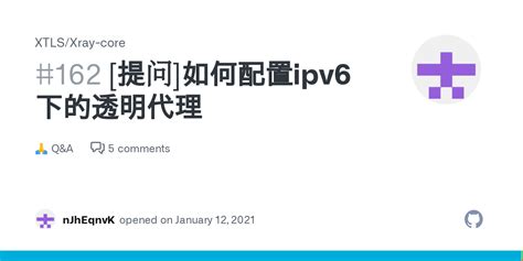 提问 如何配置ipv 下的透明代理 XTLS Xray core Discussion GitHub