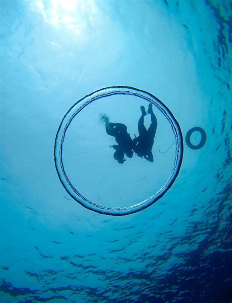 필리핀 보홀 12월 자유여행 ️ Ep2 내돈내산 프라이빗 발리카삭 호핑투어 거북이와 스노쿨링 버진아일랜드 후기 네이버 블로그