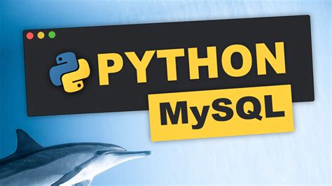 Python MySQL Daten einfügen Tutorial Deutsch für Anfängerinnen