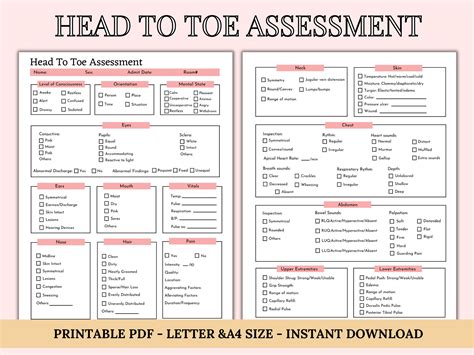 Head To Toe Assessment Checklist Artofit