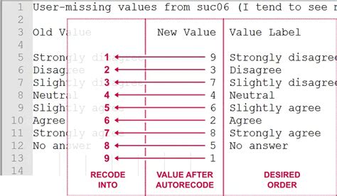 SPSS Recode With Value Labels Tool