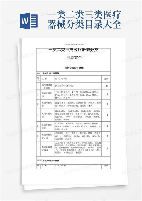 一类二类三类医疗器械分类目录大全word模板下载编号qaanobbr熊猫办公