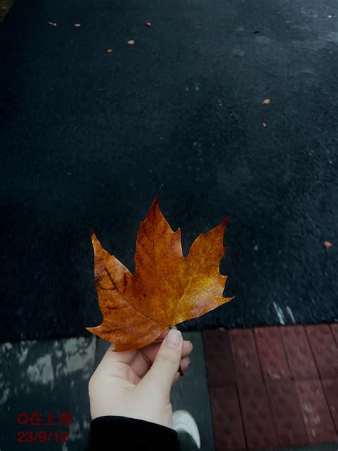 Навч унаж Надад намрыг санууллаа Налгар цээжийг чинь Налахсан гэх хүслийг төрүүллээ Намайг бүү