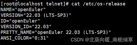 华为欧拉系统openeuler安装telnet欧拉系统安装telnet Csdn博客