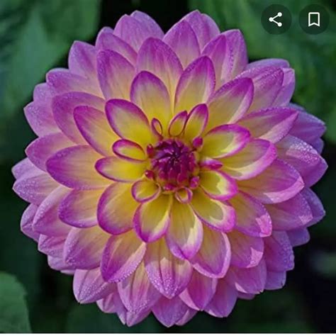 Ajeng Sri Rahayu Ajungsr • Threads Say More