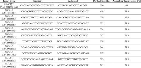 Human Primer Information For Real Time Rt Pcr Download Scientific Diagram