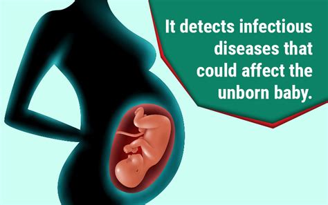 Top Things To Know About Torch Screen Test For Pregnant Women