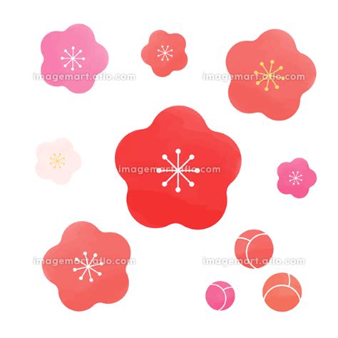 シンプルな水彩風のカラフルな梅の花とつぼみのアイコン パス少なめタイプのイラスト素材 [207532359] イメージマート