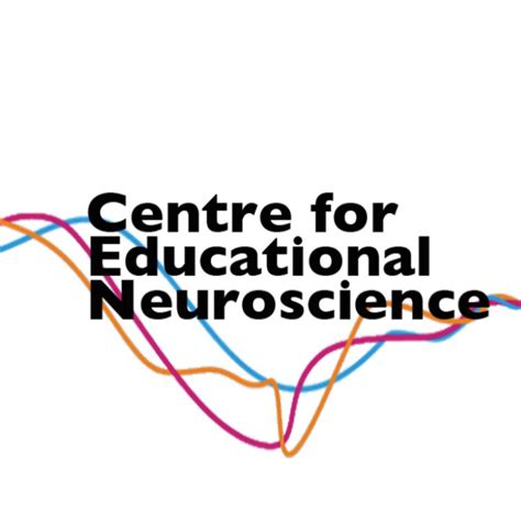 Cognitive Variability In Poor Academic Achievement A Focus On Reading