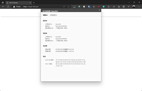 Bug 绕过大陆域名会使 Fake Ip Filter 中的域名重定向至本机 Ip · Issue 3401 · Vernesong