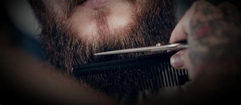 Beard Grooming Tips And Tricks For Healthy And Attractive Beard