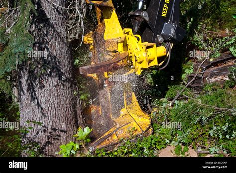 Close Up Of A Tree Cutting Machine Stock Photo Alamy