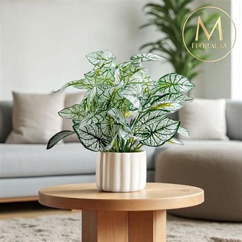 Floral M 花藝 居家白色戀人海芋仿真綠植 仿真綠植 人造植物 假植物 仿真植物 綠植擺設 室內植物 居家佈置 空間裝飾 仿真盆栽 不需澆水 不凋謝植物 辦公室綠植 商業空間佈置 攝影