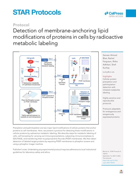 Pdf Detection Of Membrane Anchoring Lipid Modifications Of Proteins In Cells By Radioactive