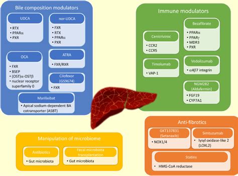Primary Biliary Cirrhosis Vs Primary Sclerosing Cholangitis