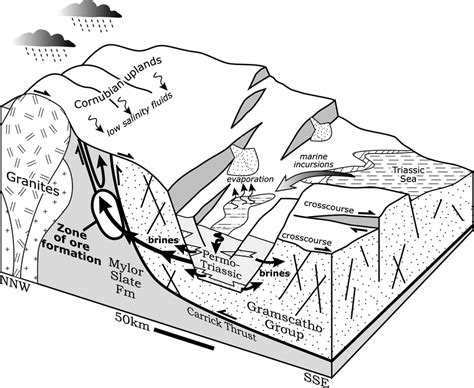 Schematic Block Diagram Of The Orefluid Source And Migration Path In Download Scientific