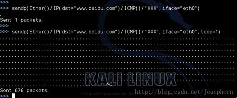 Python 使用scapy进行帧注入scapy自定义srv6 Csdn博客