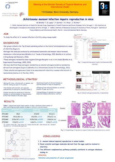 Pdf Schistosoma Mansoni Infection Impairs Reproduction In Mice