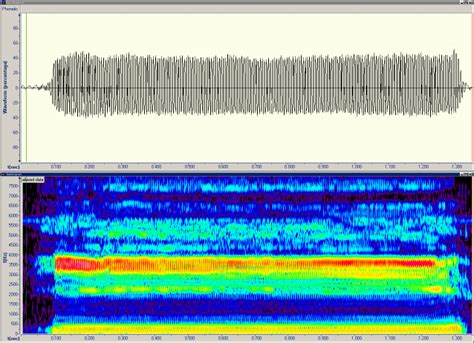 Vowels From A Phonetic Perspective
