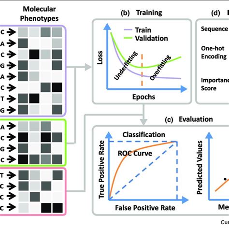 Pdf Deep Learning For Plant Genomics And Crop Improvement