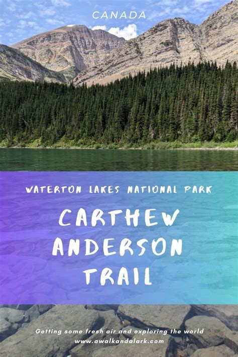Carthew Anderson Trail Amazing Hike In Waterton Lakes National Park