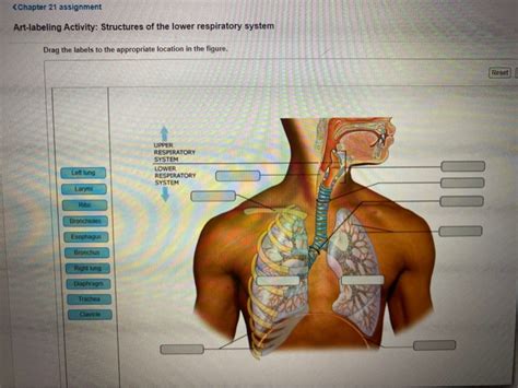 Solved Question Chegg