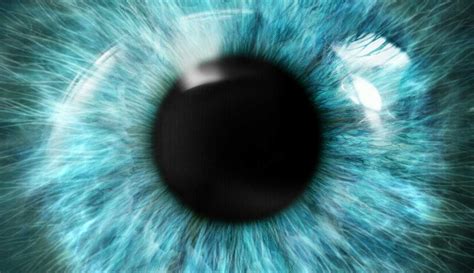 Faster Cheaper Better Flash Seq For Full Length Single Cell Rna Sequencing Research