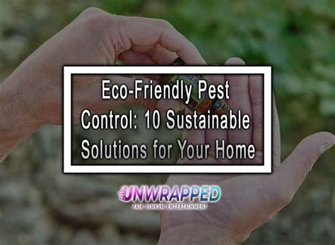 Eco Friendly Pest Control 10 Sustainable Solutions For Your Home