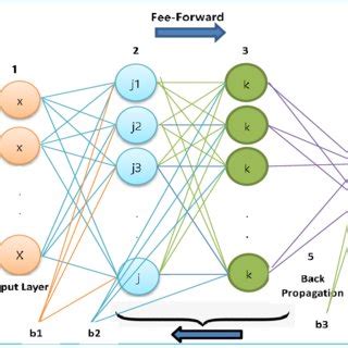 Artificial Neural Network Model Download Scientific Diagram