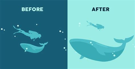 12 Visual Hierarchy Principles Non Designers Needs To Know