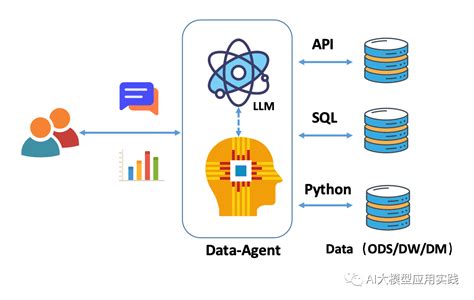 构建data agent：探讨企业应用中基于大模型的交互式数据分析及方案【上】 csdn博客